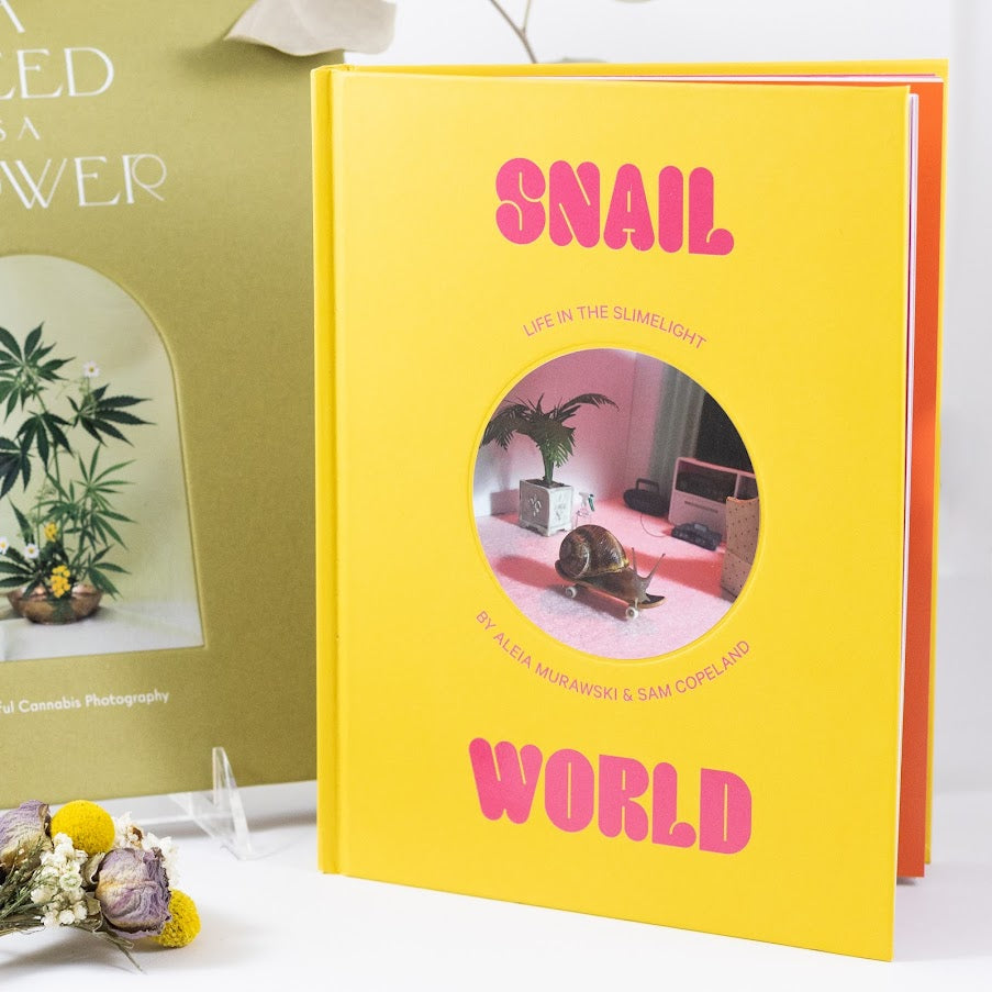 El libro de Snail World: La vida en el centro de atención – PINCH