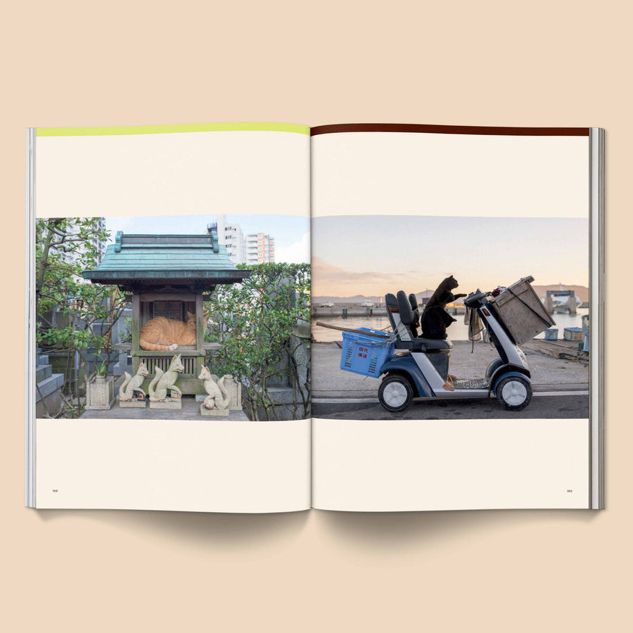 Catnip Magazine | Shop Curated, Crafted Goods at PINCH