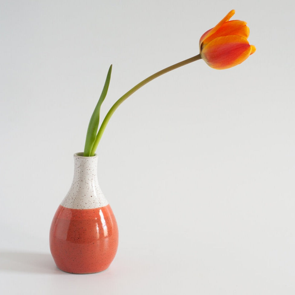 Small Vase in Coral – PINCH