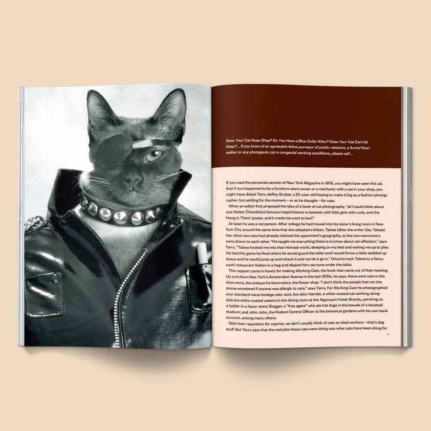 Catnip Magazine – PINCH